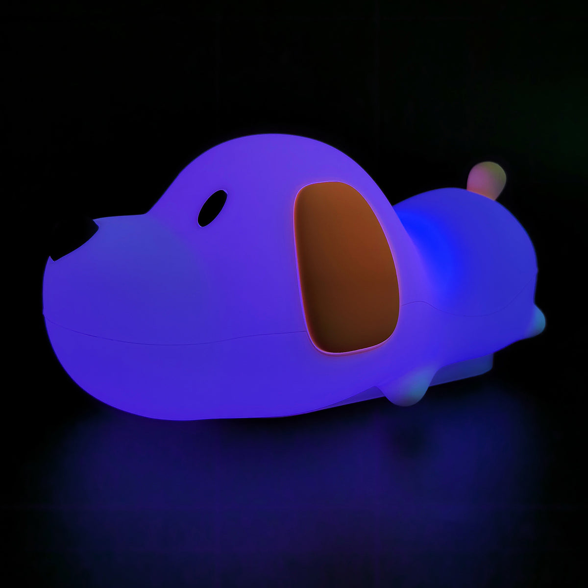 Dog Night Light – Orbit Lighting NZ