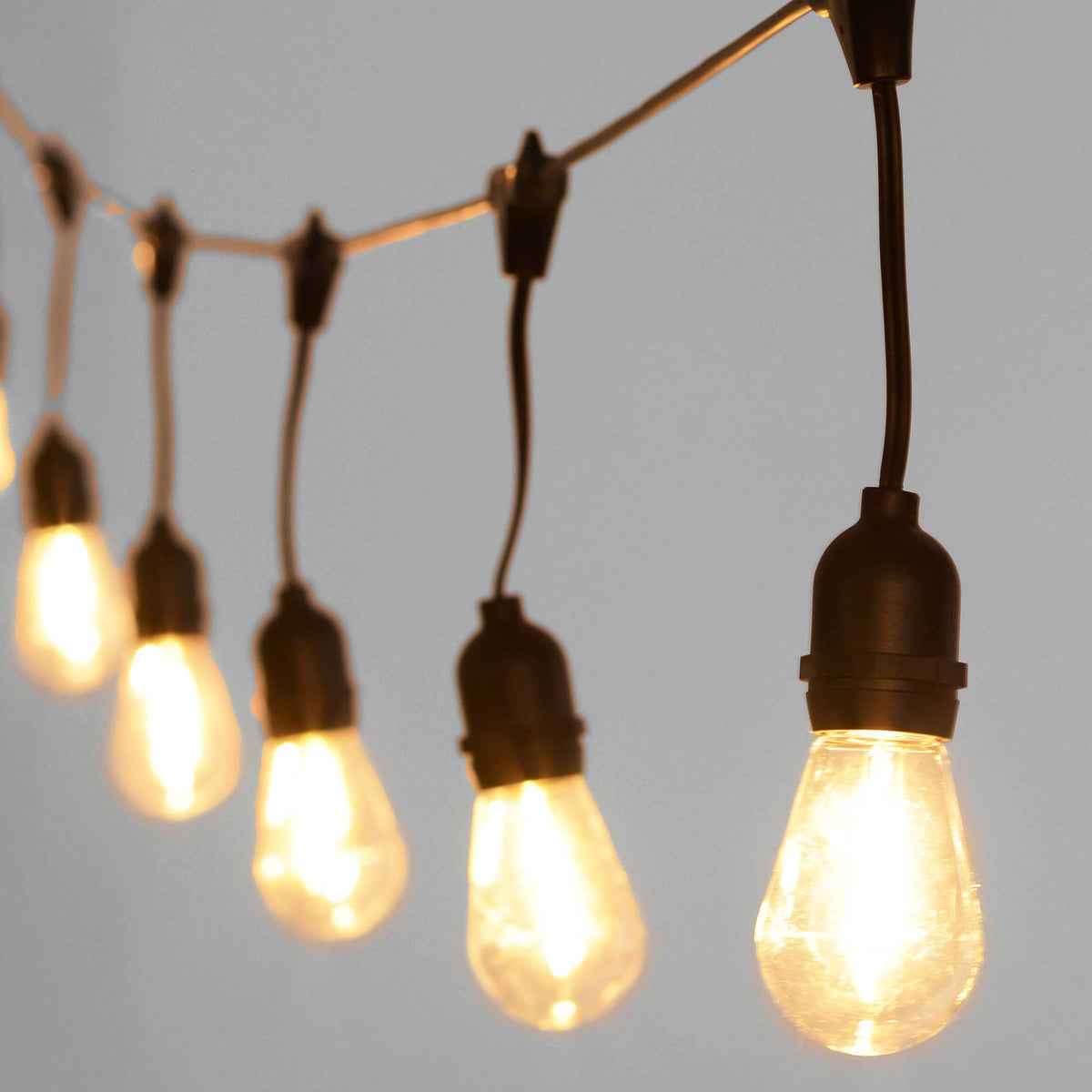 Connectable Festoon Lights 10 Bulbs - 8 Function – Orbit Lighting NZ